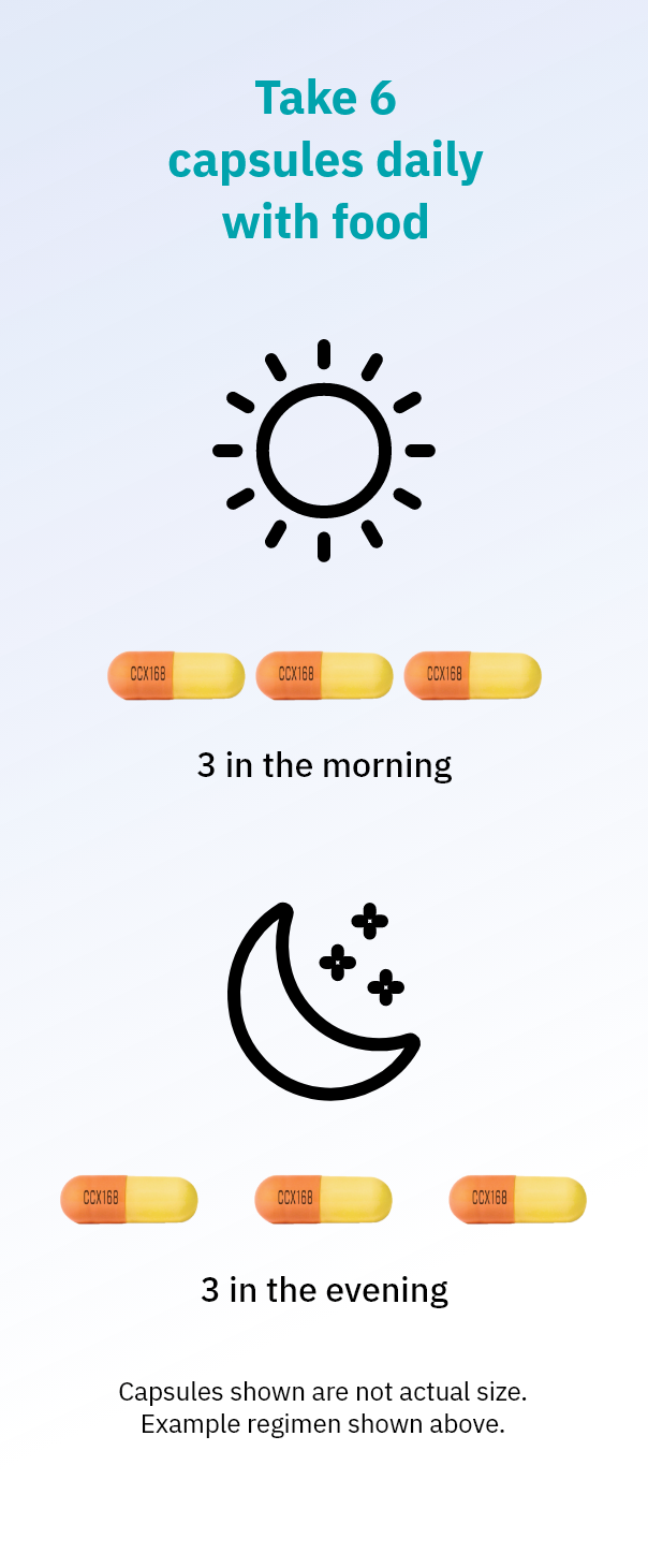How to Take TAVNEOS® (avacopan)